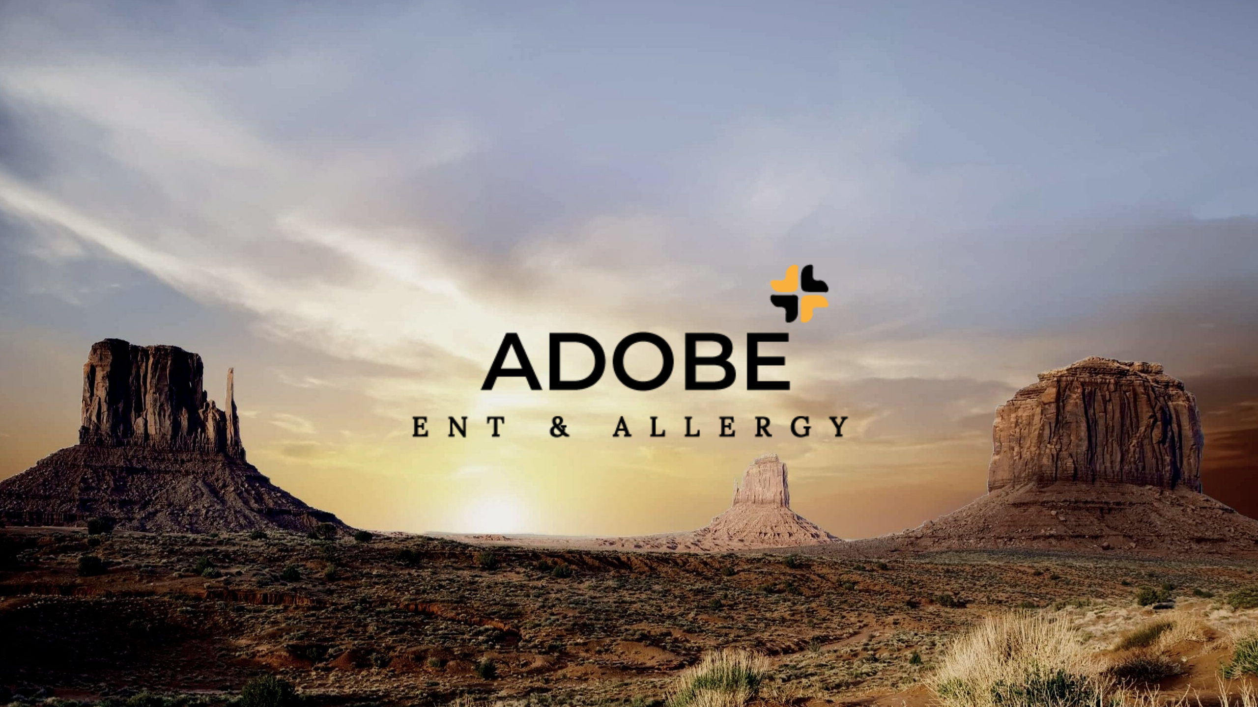 Services - Adobe ENT & Allergy